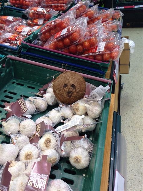 Coco Is Nuts About Garlic R Funny