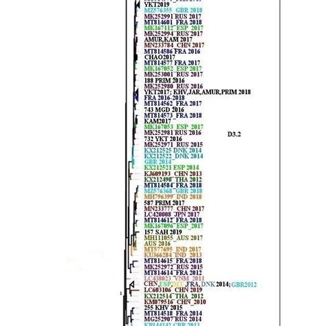 The Mcc Phylogenetic Tree Constructed Based On Partial 3dpol Sequences