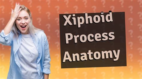 What Organs Attach To The Xiphoid Process YouTube
