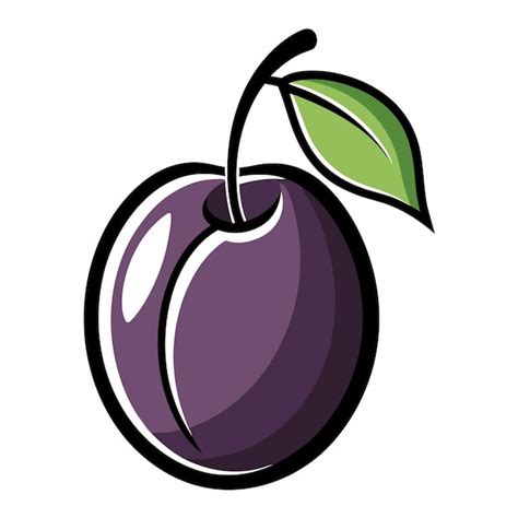 Plum Fruit Vector Illustration Isolated On White Background Premium