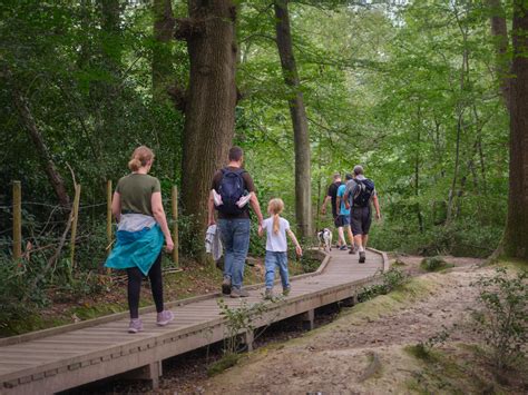 2021 Annual Riverside Walk Horsham Town Community Partnership