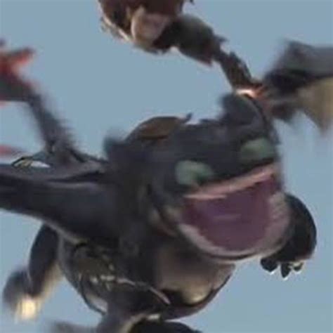 Pin On ⸙ ʜᴏᴡ ᴛᴏ ᴛʀᴀɪɴ ʏᴏᴜʀ ᴅʀᴀɢᴏɴ ⸙ How Train Your Dragon Dragon