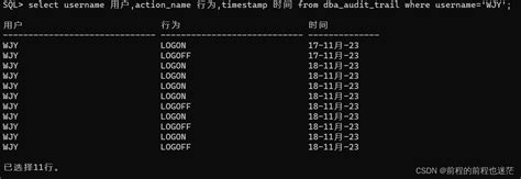 【简单易懂】oracle审计功能oracle开启审计 Csdn博客