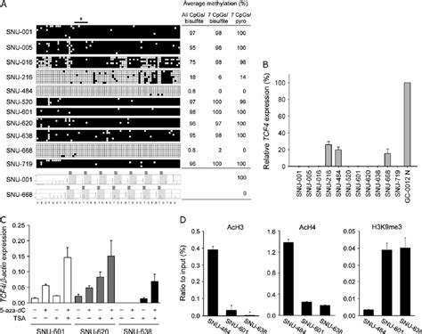 TCF4 CpG Methylation And Histone Modifications Correlate With TCF4
