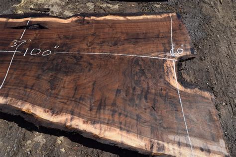34693 Live Edge Claro Walnut Slab 100 X60 37 X3 September 2017