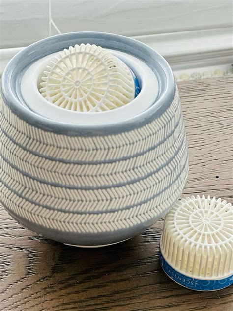 Fan Diffusers Pods Artofit