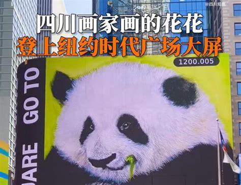 熊猫界女明星花花登上纽约时代广场大屏靠卖萌吸粉无数 宠界新闻