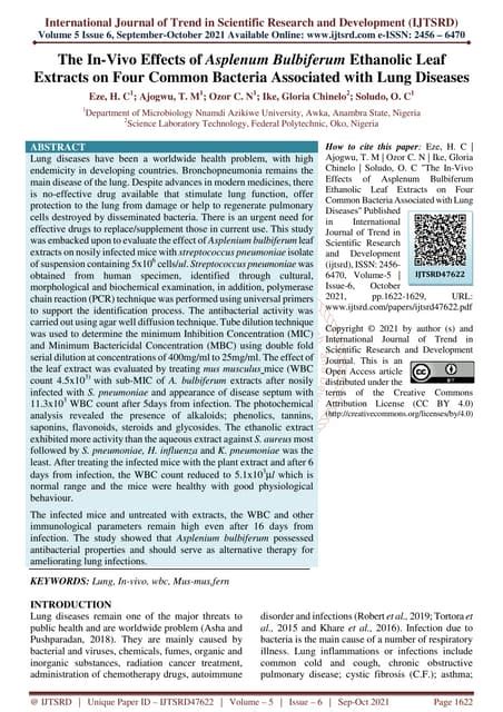 The In Vivo Effects Of Asplenum Bulbiferum Ethanolic Leaf Extracts On