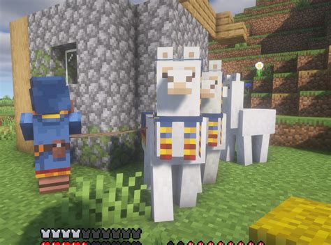 The Wandering Trader Stole My Llama And Now I Cant Get It Back With A