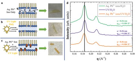 Schematics And Photos Of Gyroid Polymer Films Of 1 2 Depicting A Download Scientific