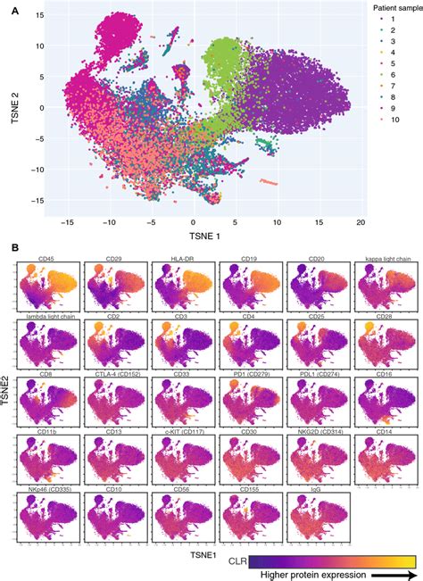 Two Dimensional Tsne Visualization Of Pooled Patient Cell Samples A