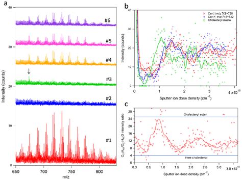 Variation In Ceramide And Cholesteryl Oleate Signal Intensities With