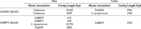 De Novo Assembly With The Flye And Canu Tools Download Scientific