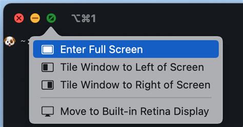 Unable To View Autocomplete When Iterm Is Opened In Fullmaximized