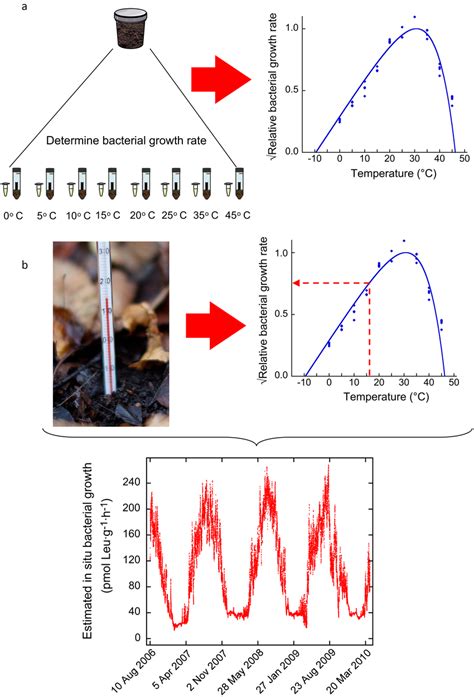 A The Community Aggregated Functional Response Curve Of A Bacterial