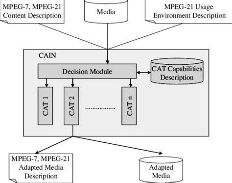 Cain Adaptation Process Download Scientific Diagram