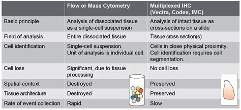 Multiplexed IHC Analysis The Clambey Lab