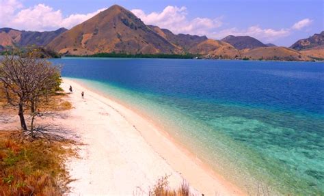 City Sightseeing Tour At Labuan Bajo And Komodo Island 1001malam