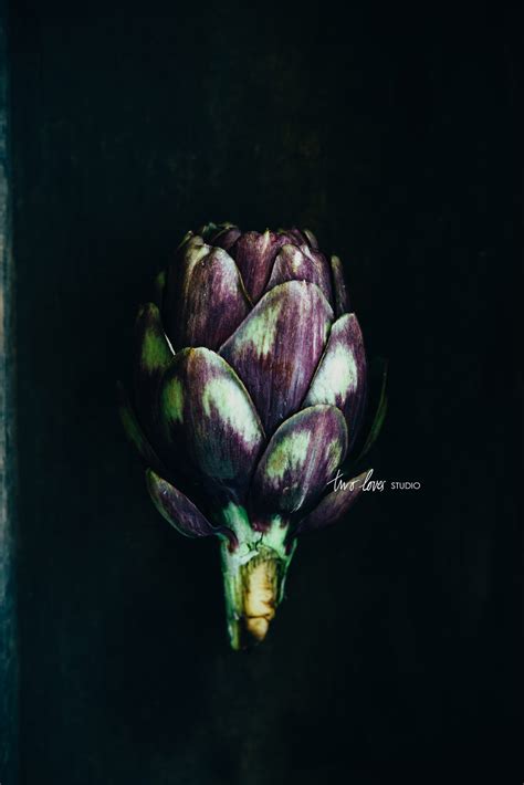How To Guide Create Dark Food Photography With Just A Box