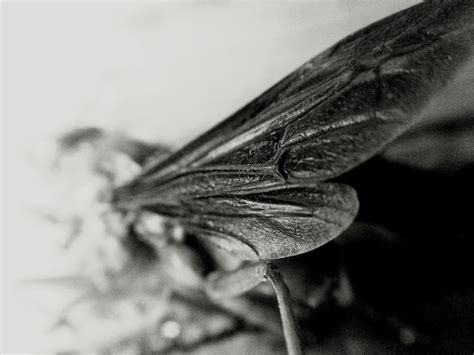 Premium Photo Close Up Of Object Over White Background