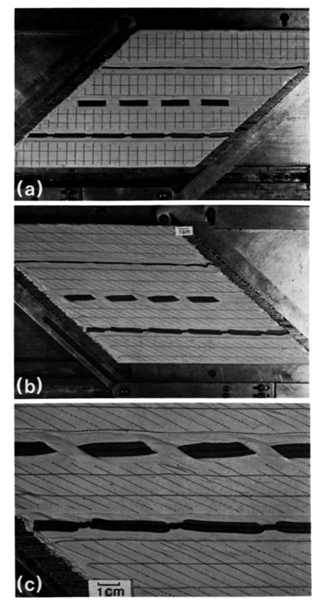 Plasticine Silicone Putty Inserts In Silicone Putty Matnx Model Download Scientific Diagram