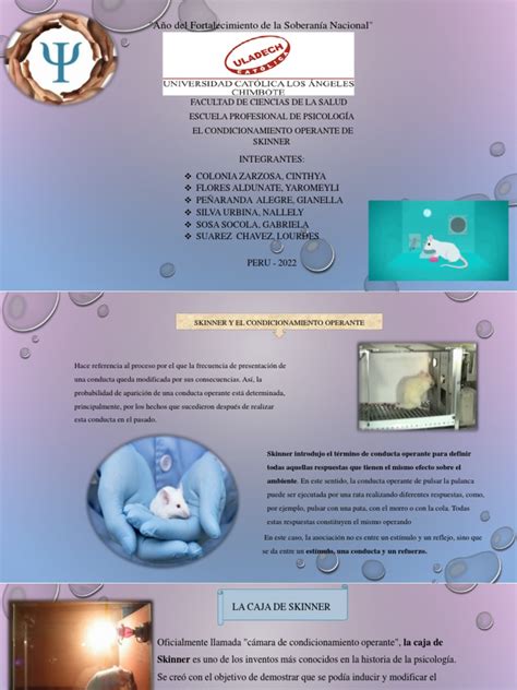 Condicionamienyo Operante De Skinner Pdf Conceptos Psicologicos