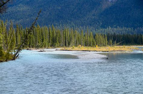Kootenay 계곡으로가 단풍 Kootenay 국립공원 캐나다 록 키 산맥 브리티시 컬럼비아 캐나다 0명에 대한 스톡 사진 및
