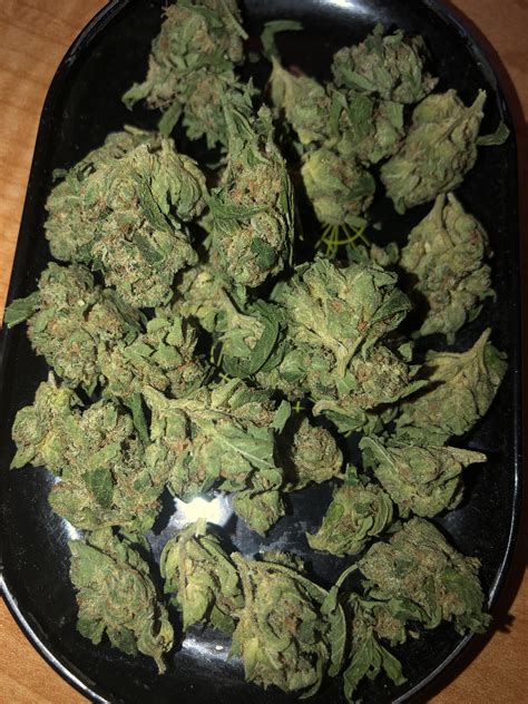 Ozone OG Scrolller