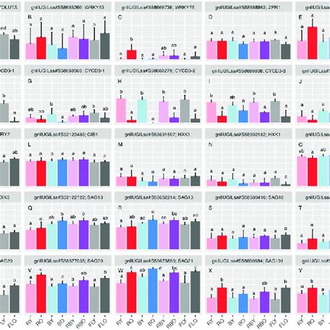 Expression Levels Of Genes Involved In Leaf Senescence The Log 2 Gene