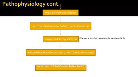 Post Obstructive Diuresis Pptx