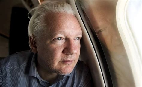 Los Grises Del Caso Assange
