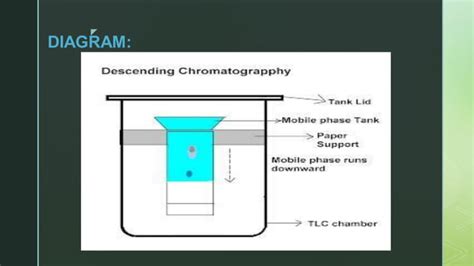 Descending Paper Chromatography Pdf