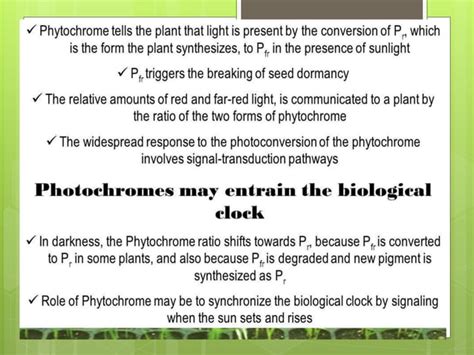 Phytochrome Structure And Function By Nour Deeb Pptx