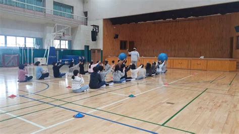 초등 체육 게임활동 짐볼gym Ball을 이용하여 운동체력 중 민첩성 기르기 네이버 블로그