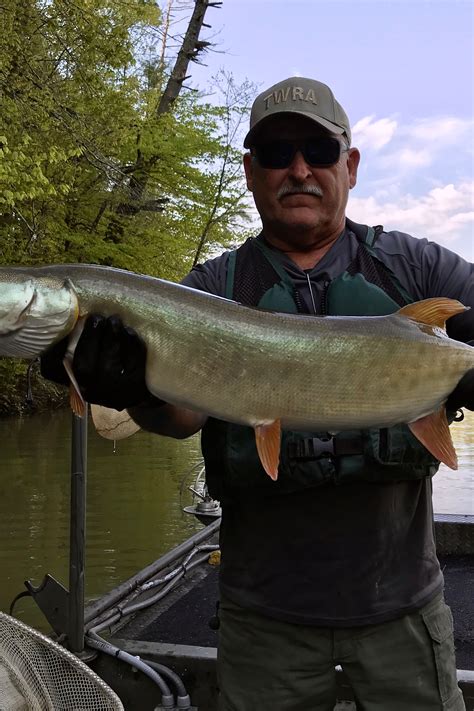 Musky Lakes