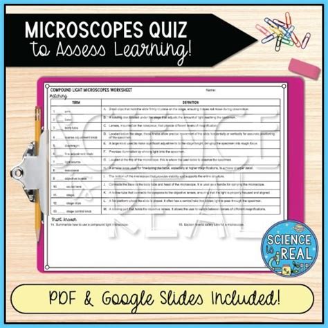 Microscope Graphic Organizer Science Is Real Education