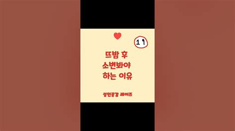 뜨밤 후 소변을 봐야하는 이유 데이트코스 기념일이벤트 장거리연애 커플속옷 커플룩 코스프레 소개팅코스 부부관계 호캉스 떡상 추천 Youtube