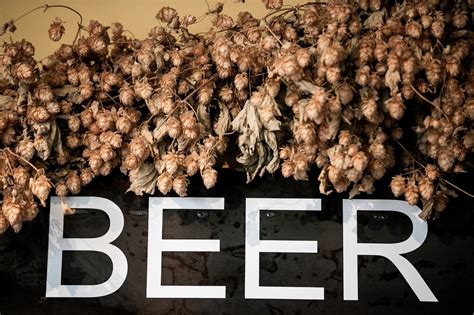 Sasquatch Brewing To Shut Down Brewery Cidermaking Operations Keep Sw