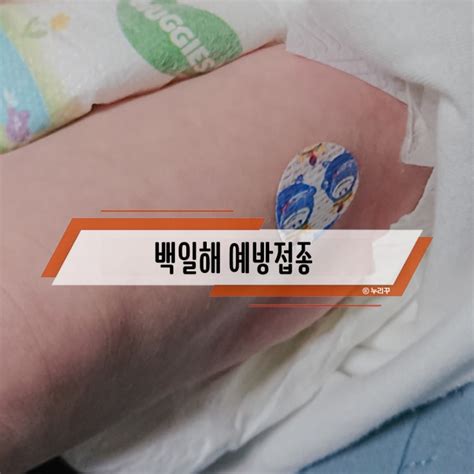 생후 2개월 4개월 6개월 디피티디탭 Dtap 예방접종 아기 백일해 감염 증상 네이버 블로그