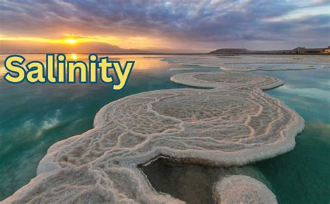 Salinity Definition Effects And Importance