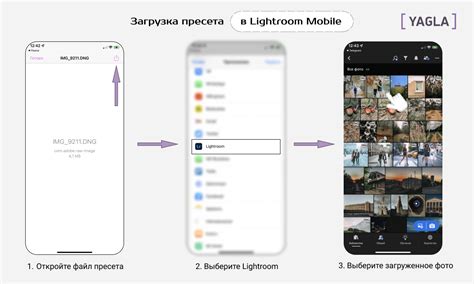 Как правильно добавить пресеты Лайтрум и сделать самому Yagla