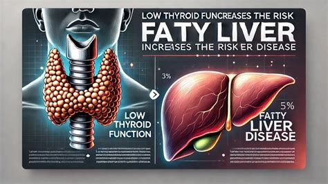 Can Low Thyroid Function Increase Fatty Liver Disease Risk