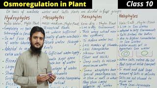 Osmoregulation In Plants Osmotic Adjustment In Plants Doovi