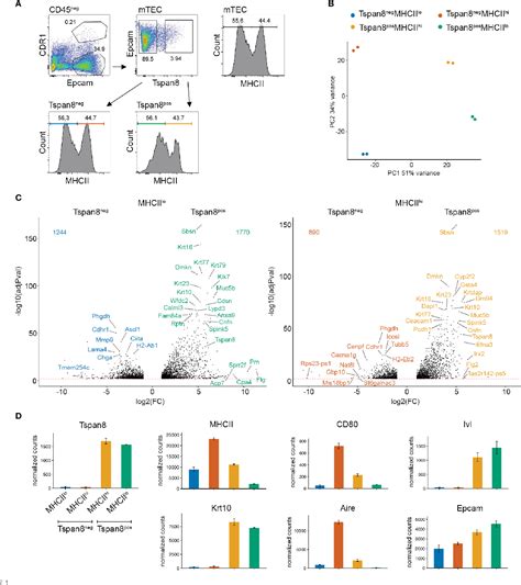 Figure 1 From Ehf And Fezf2 Regulate Late Medullary Thymic Epithelial Cell And Thymic Tuft Cell