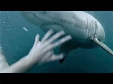 The Scariest Things Caught By GoPro Cameras YouTube