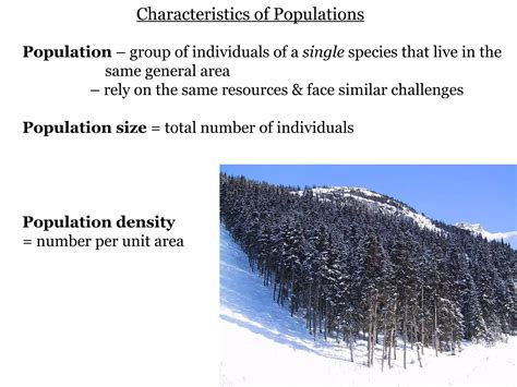 Population Density PPT