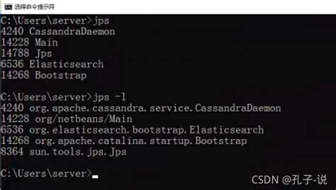 jvm中常用的性能监控和调优工具介绍与使用 heap histogram csdn博客