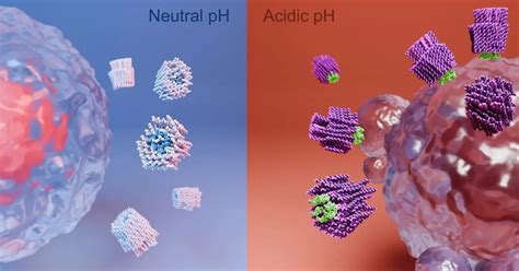암 세포 자살 유도하는 나노 로봇 나왔다