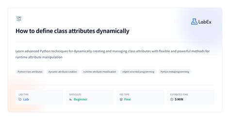 How To Define Class Attributes Dynamically Labex