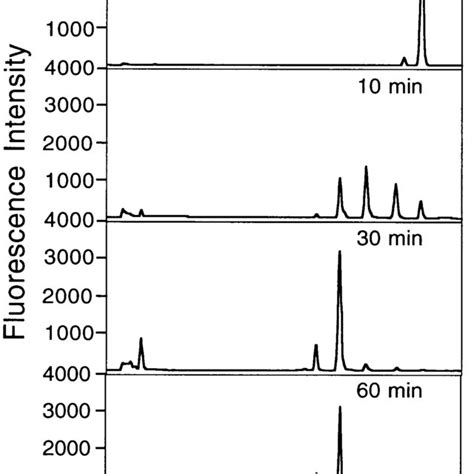Man 8 Glcnac 2 Isomer Structures Three Potential Man 8 Glcnac 2